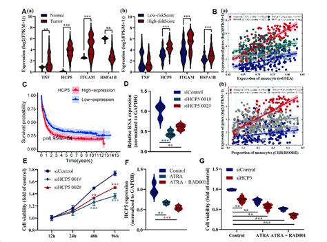 Exploration Of The Relationship Between These Genes In The Model And