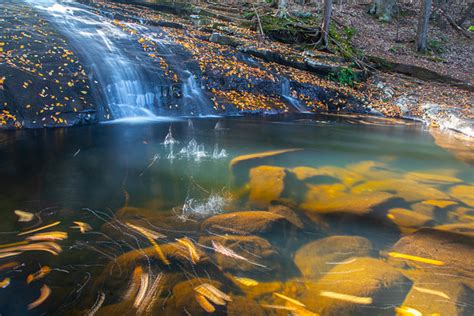 Ipernity Water Sprites 02 By Steven Herzberg