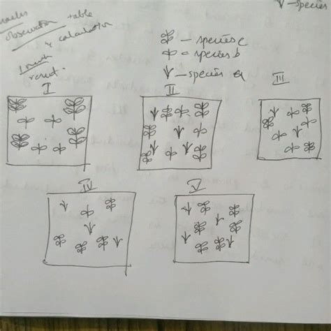 Study Of Plant Population Density By Quadrat Method Geetha Muthusamy