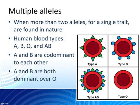Introduction To Genetics Ppt Download