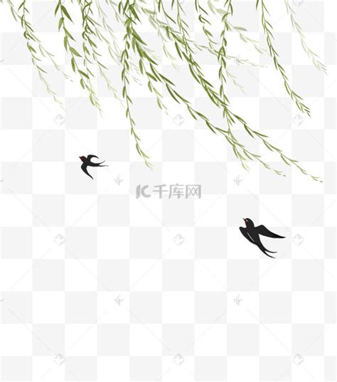 杨柳免抠素材图片 杨柳免抠素材图片素材免费下载 千库网