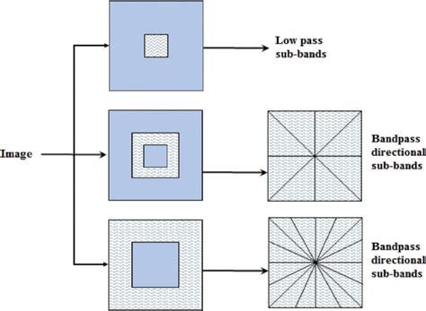 Conceptual Visualization Of Non Subsampled Contourlet Transform Download Scientific Diagram