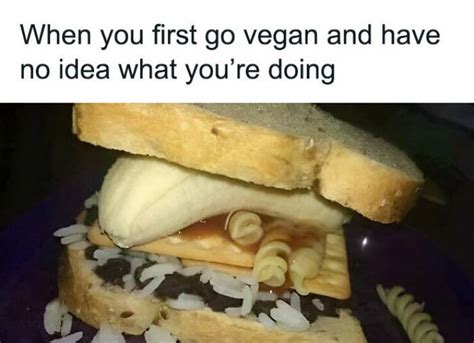 Dining Dilemmas Hilarious Food Memes For After Meal Laughs 50 Pics