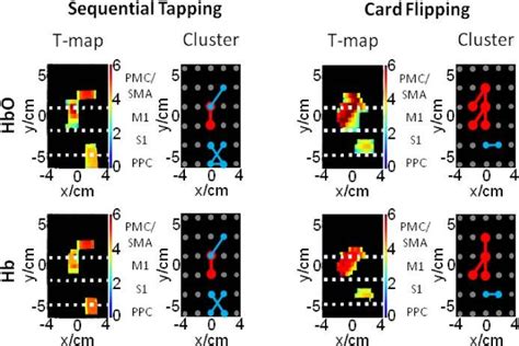 Group Analysis T Maps And The Clustered Fnir Signals For Sequential