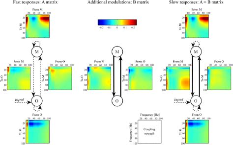 Figure 76 From Nonlinear Coupling Between Occipital And Motor Cortex During Motor Imagery A