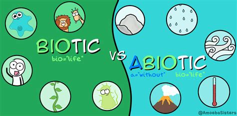Biotic Vs Abiotic Factors I Biology I The Amoeba Sisters Abiotic Teaching Biology Biology