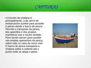 A Chalana Pdf