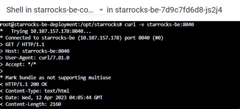 Frontend Failed To Add Healthy Backend In Minikube K8s Cluster · Issue 21404 · Starrocks