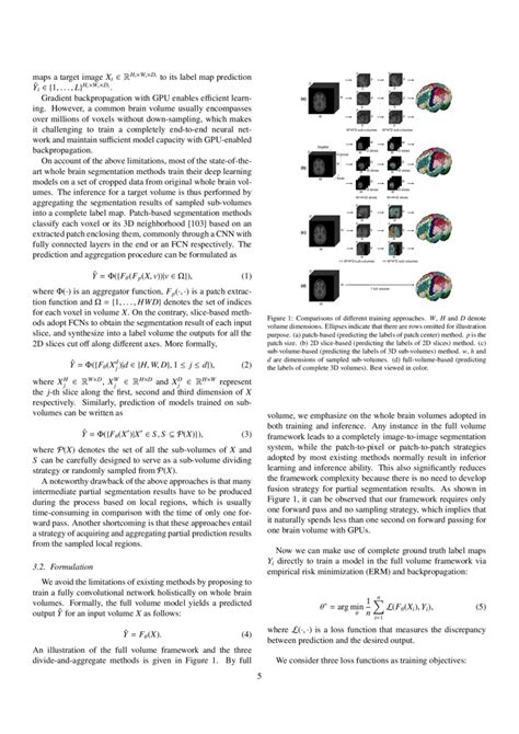 Whole Brain Segmentation With Full Volume Neural Network Deepai