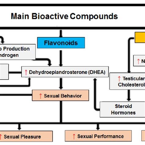 The Potential Of The Main Bioactive Compound In Herbal Medicine As An Download Scientific