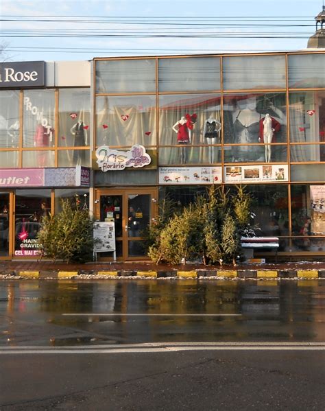 Florarii Suceava Floraria Iris Livrari On Line Livrari Suceava