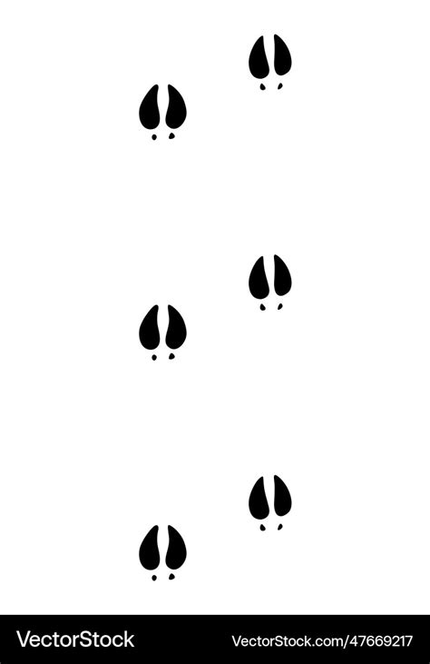 Cow Footprint Tracks Black Paw Royalty Free Vector Image