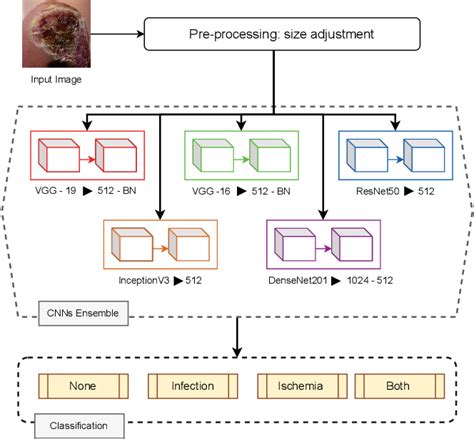 Figure 1 From Diabetic Foot Ulcers Classification Using A Fine Tuned Cnns Ensemble Semantic