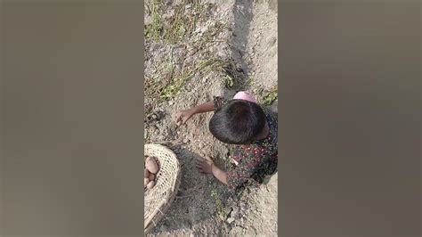 পাশের বাড়িতে পিঠা বানাইছে। Shortvideo Funny Youtube