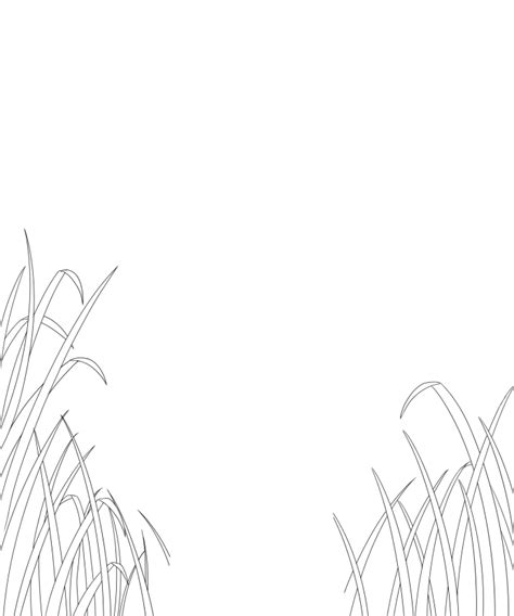 Basic Leaf Making And Distinguishing Various Types Of Leaves MediBang Paint The Free Digital