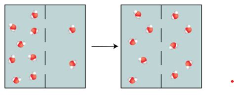 Difference Between Osmosis And Diffusion With Diagram
