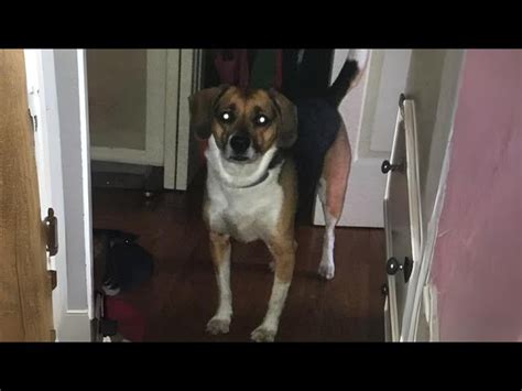 Boywithuke Anxious Chords Chordify