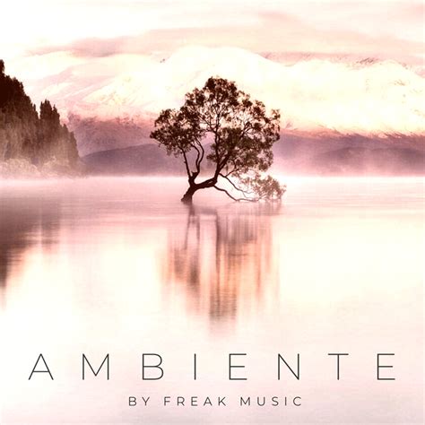Cloudy Samples Ambiente Sample Pack Slooply