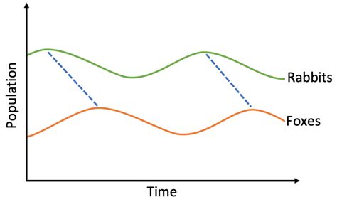 Prey And Predator Cycle