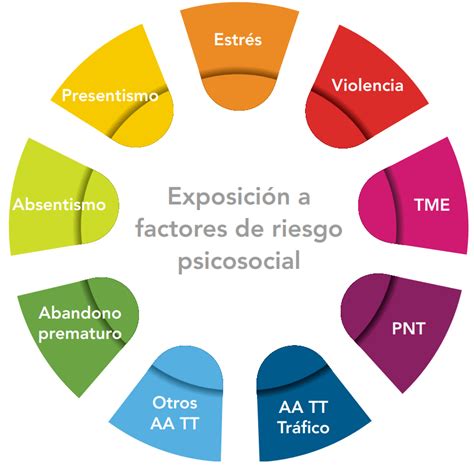 Directrices BÁsicas Para La GestiÓn De Los Riesgos Psicosociales