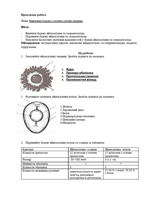 Практична робота Вивчення будови статевих клітин людини Pdf