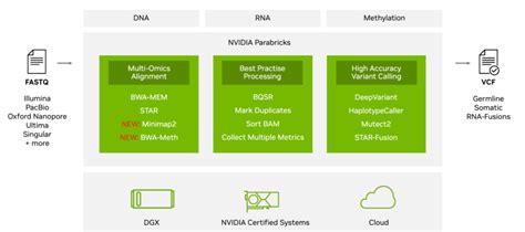 Boost Multi Omics Analysis With Gpu Acceleration And Generative Ai Nvidia Technical Blog