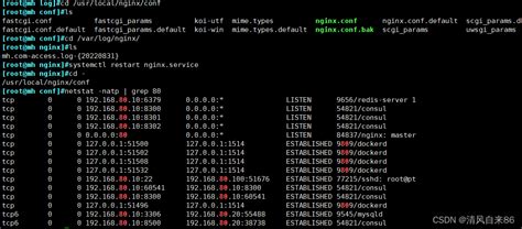 Docker容器 Consul（注册中心）部署console 注册中心 Docker Csdn博客
