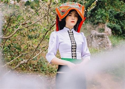 Traditional Vietnamese Dress A Colorful Cultural Journey