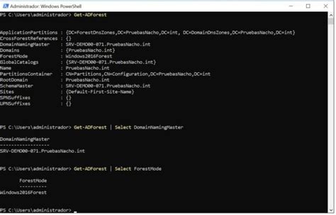 ¿qué Hace Un Ad Ds De Microsoft