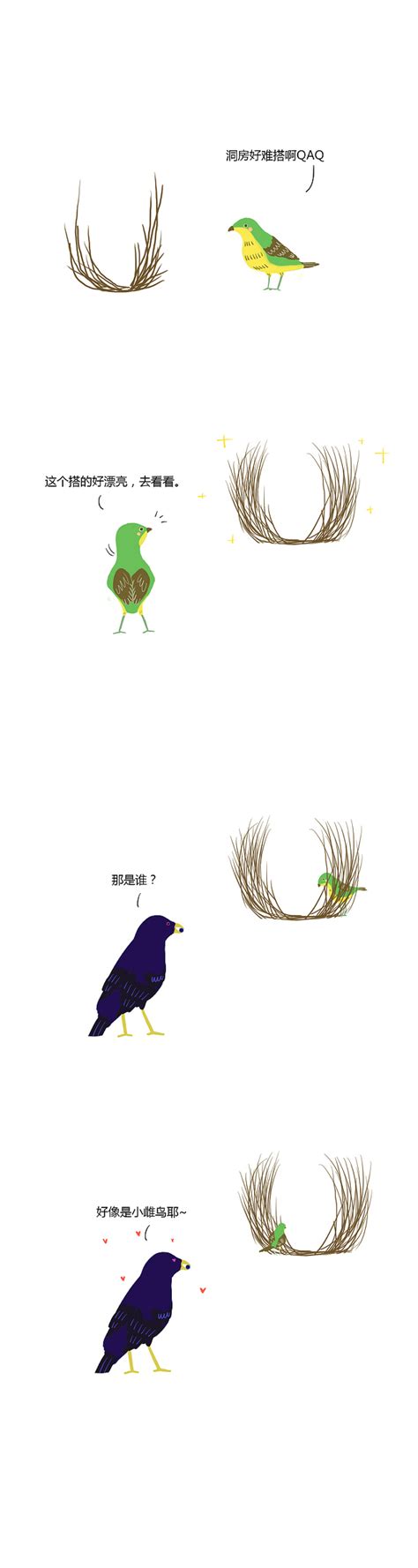 《和你说的不一样》 缎蓝园丁鸟还不是刘洋 站酷zcool