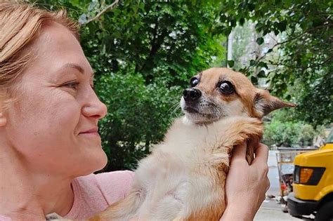 Більше року прожила під плитою на підприємстві собачка з Нікополя знайшла родину у Дніпрі