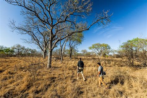 Explore Mpumalanga South Africa With Photographer Jimmy Chin