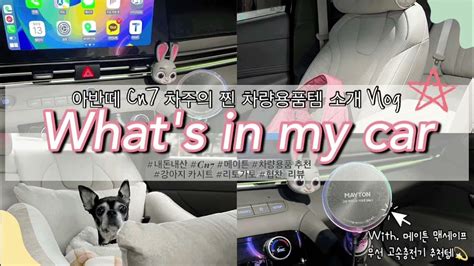 아반떼 Cn7 신형 차량용품 Vlog 운전자에게 꼭 필요한 차량용품템 소개영상 아반떼cn7 신형아반떼 메이튼 오토프로 차량용품 애견카시트 리토가토