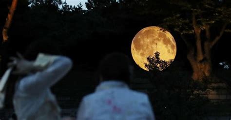 100년 이래 가장 둥근 추석 달 우리 동네 보름달 언제뜨나