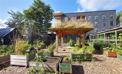 Põhjala Tehas Endisest Kummitööstusest Loomelinnakuks