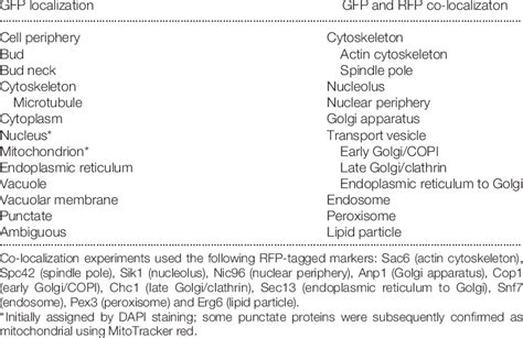 Subcellular Localization Categories Used In This Study Download Table