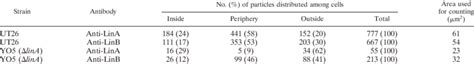Distribution Of Gold Particles In Immunogold Labeling Electron