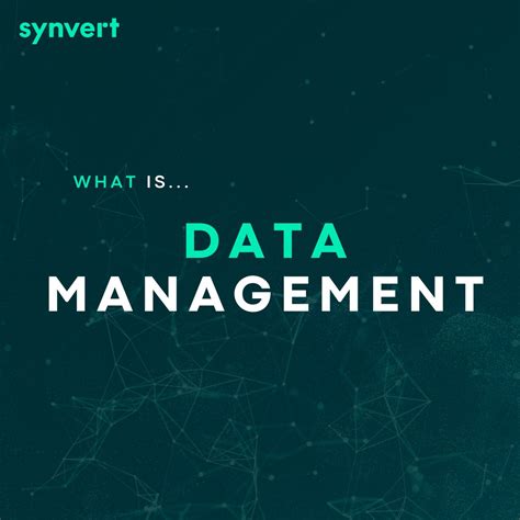 Datamanagement Datagovernance Digitaltransformation Itconsulting Synvert Teamsynvert