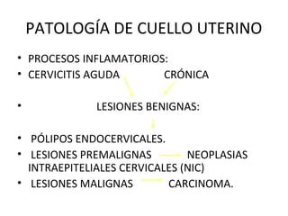Patología De Cuello Uterino I Ppt