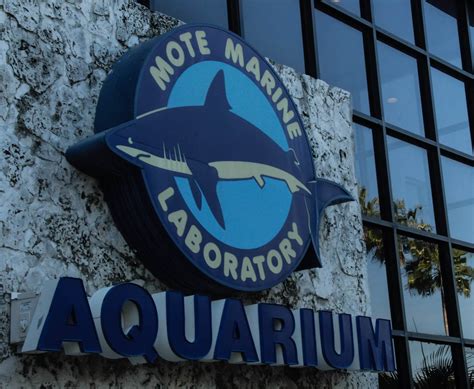 Le Mote Marine Laboratory And Aquarium à Sarasota Floride Visiter