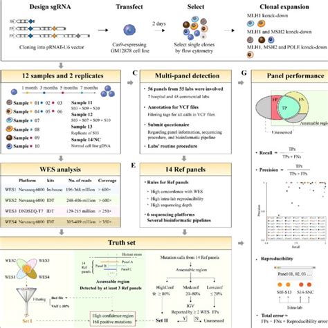 Overview Of The Performance In Somatic Mutation Detection Among 56