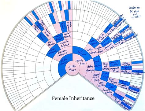Dna Discovery Phasing The X Chromosome