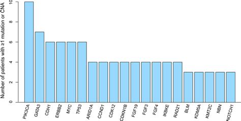 The 20 Most Frequently Altered Genes In The Metastases Of The Subset Of