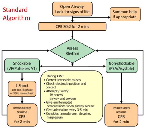 Treatment Algorithm For Control Arm Open I