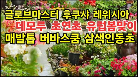 질문 궁금한 꽃 분갈이 꽃 구경 하세요 Youtube