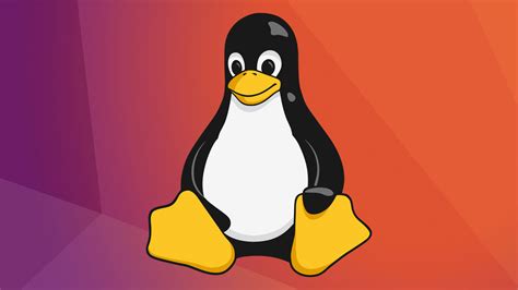 Linux Desktop Environments Sunucun