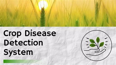 Crop Disease Detection System Pdf Agriculture Industries