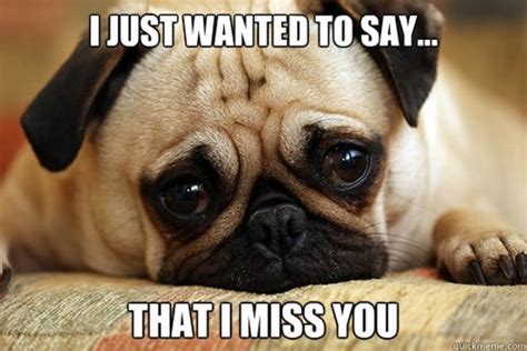 101 Sincere I Miss You Memes To Share With People You Love And Miss