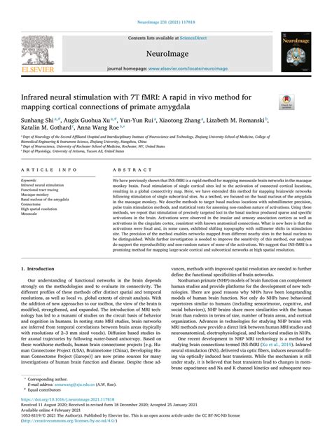 Pdf Infrared Neural Stimulation With 7t Fmri A Rapid In Vivo Method