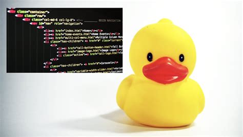 Can I Be Your Rubber Duck Debugging Code With A Friend Exavault Blog